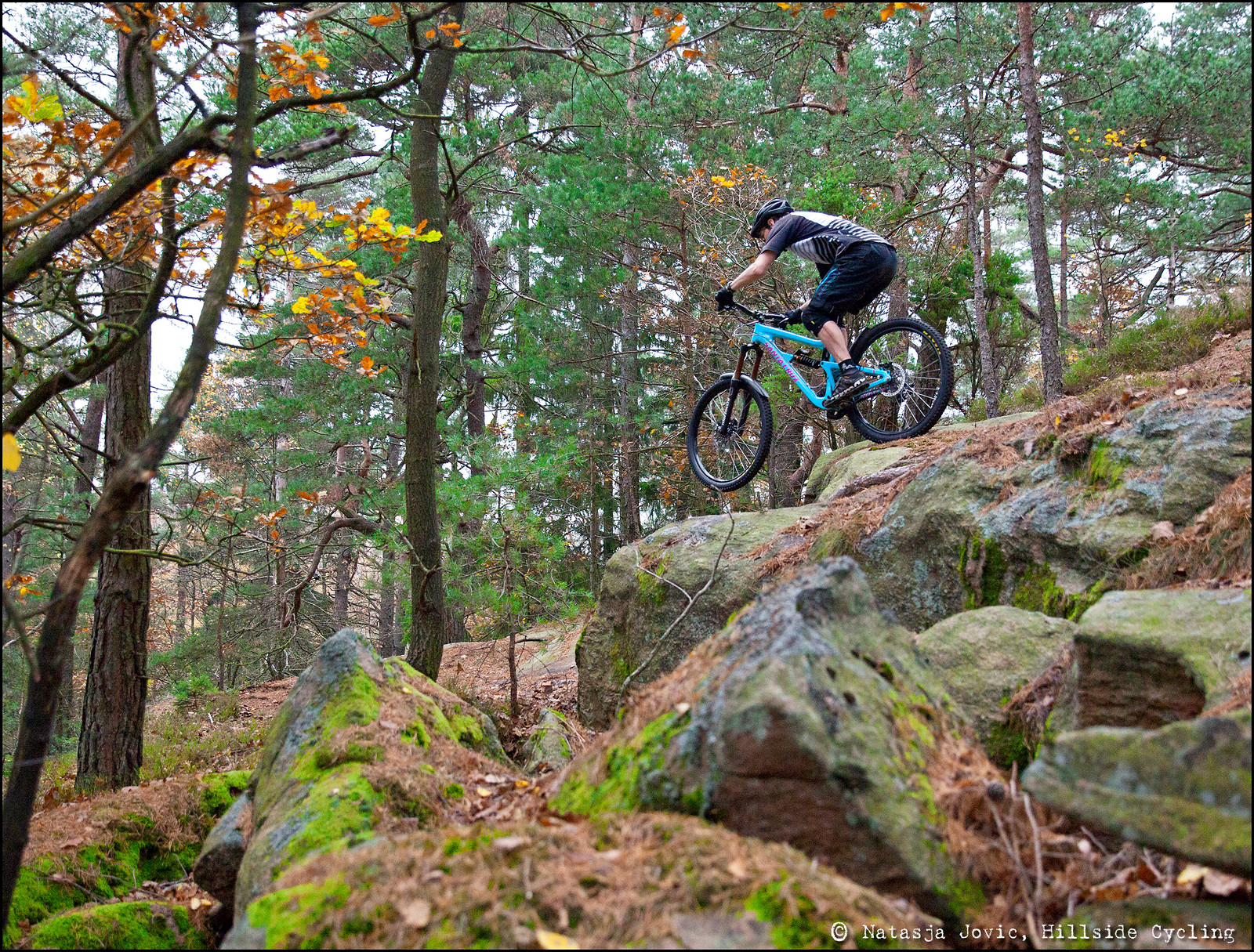 Badger trail - Hillside Cycling - Mountain Biking Pictures - Vital MTB