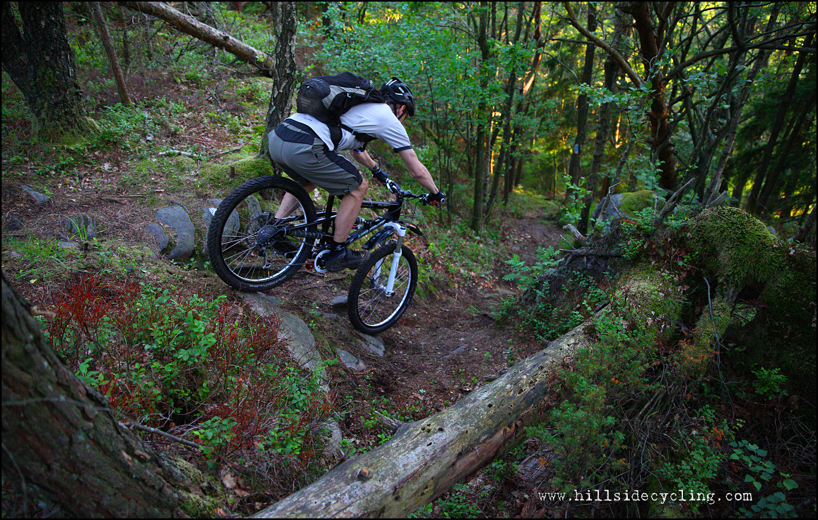 Black Beast Trail - Hillside Cycling - Mountain Biking Pictures - Vital MTB