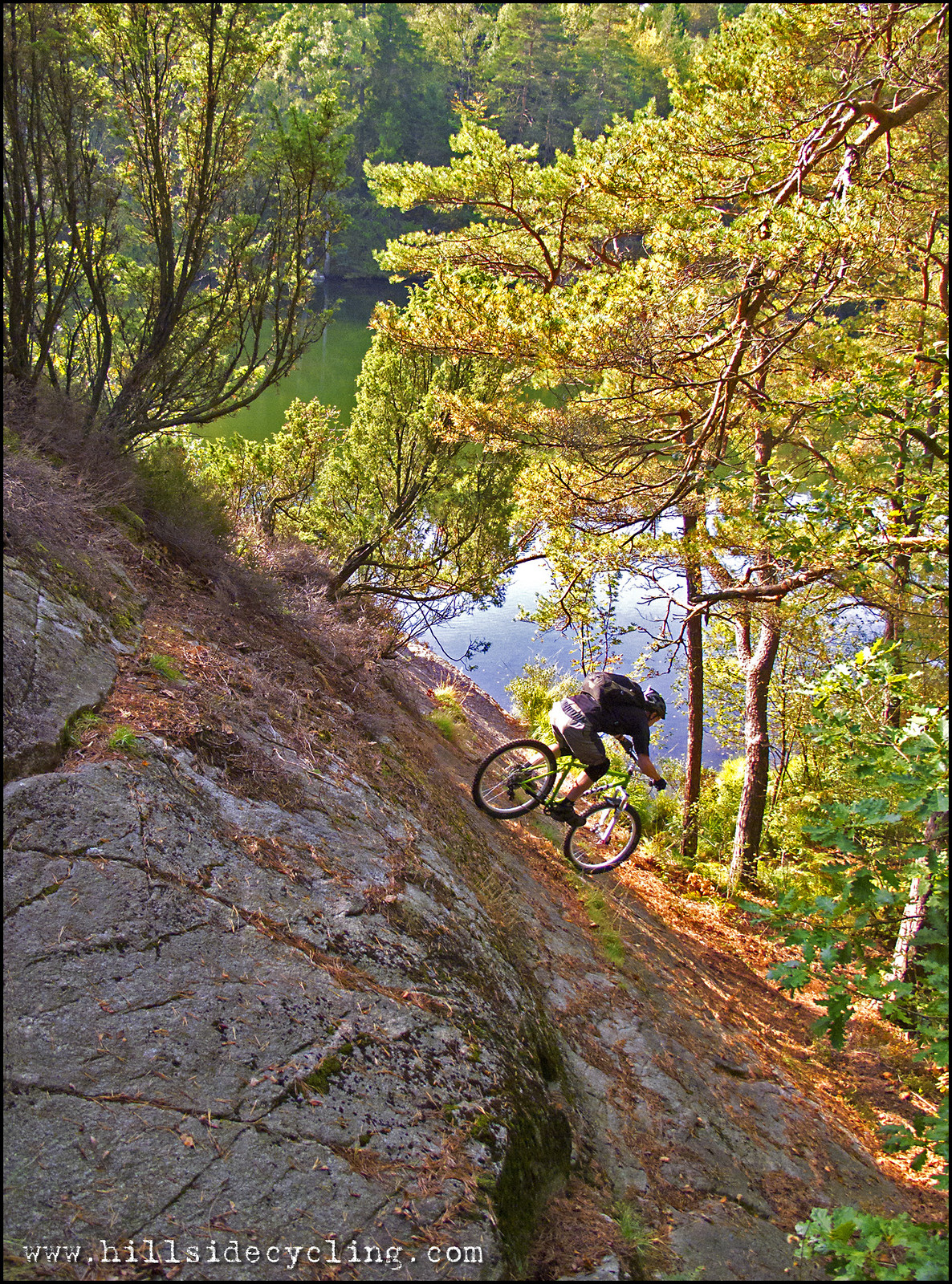 Vertigo trail - Hillside Cycling - Mountain Biking Pictures - Vital MTB