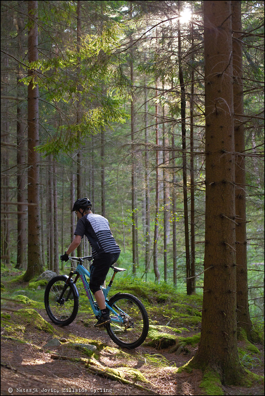 Pineforest Crunch - Hillside Cycling - Mountain Biking Pictures - Vital MTB