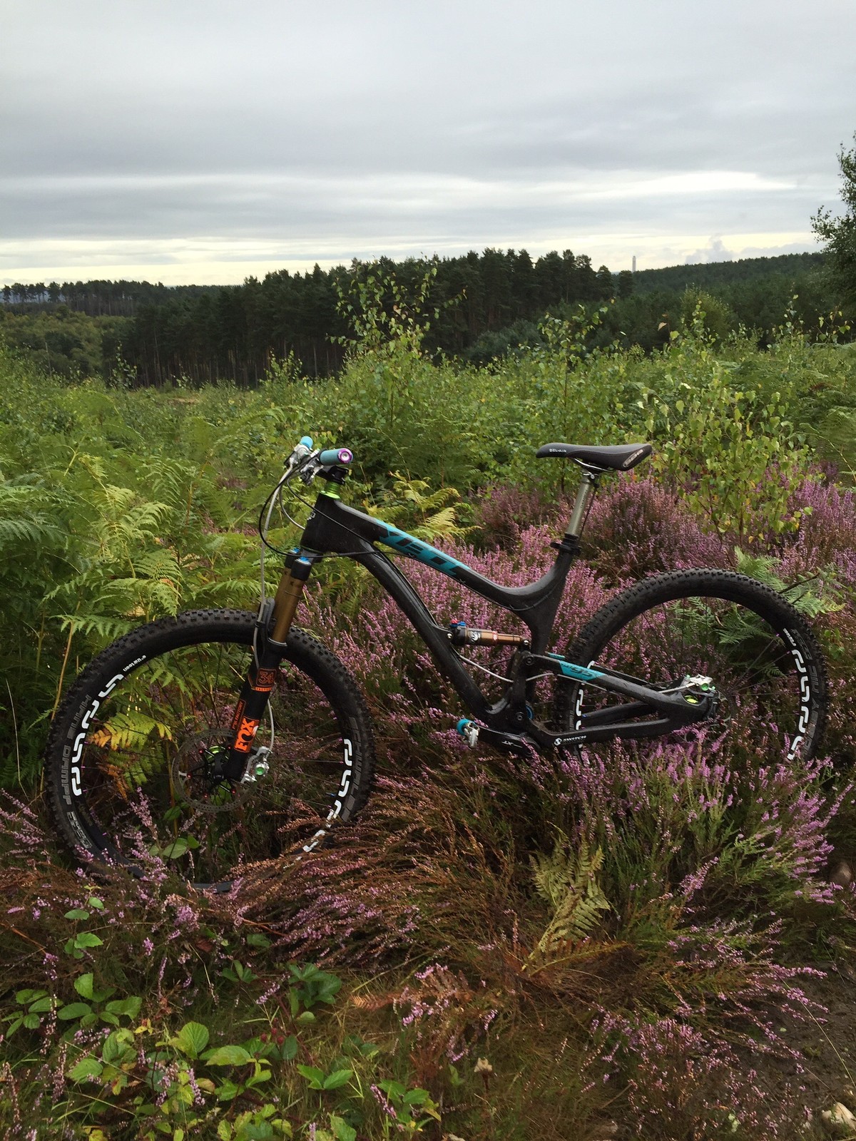 Yeti SB95c - Wormhole's Bike Check - Vital MTB