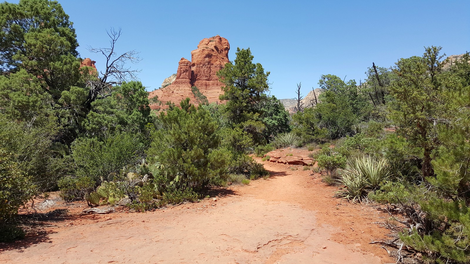 Jordan - Sedona AZ - PJamz - Mountain Biking Pictures - Vital MTB