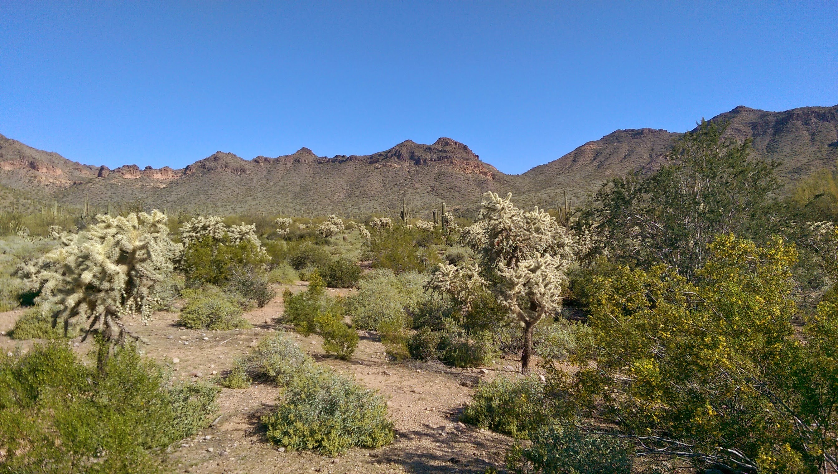 Meridian Trailhead - Mesa AZ - PJamz - Mountain Biking Pictures - Vital MTB