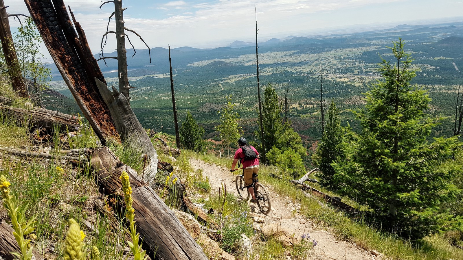 Sunset Trail - Flagstaff, AZ - PJamz - Mountain Biking Pictures - Vital MTB