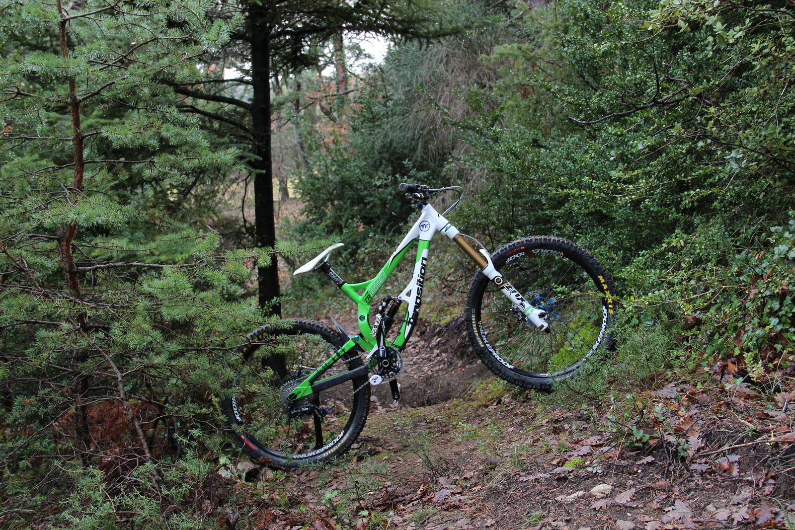 Transition TR250 2013 - Nicoch84's Bike Check - Vital MTB