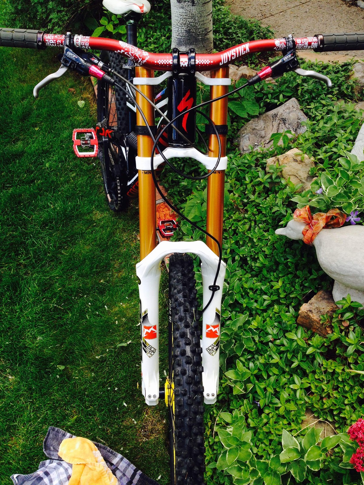 Specialized status custom - D. Summertime's Bike Check - Vital MTB