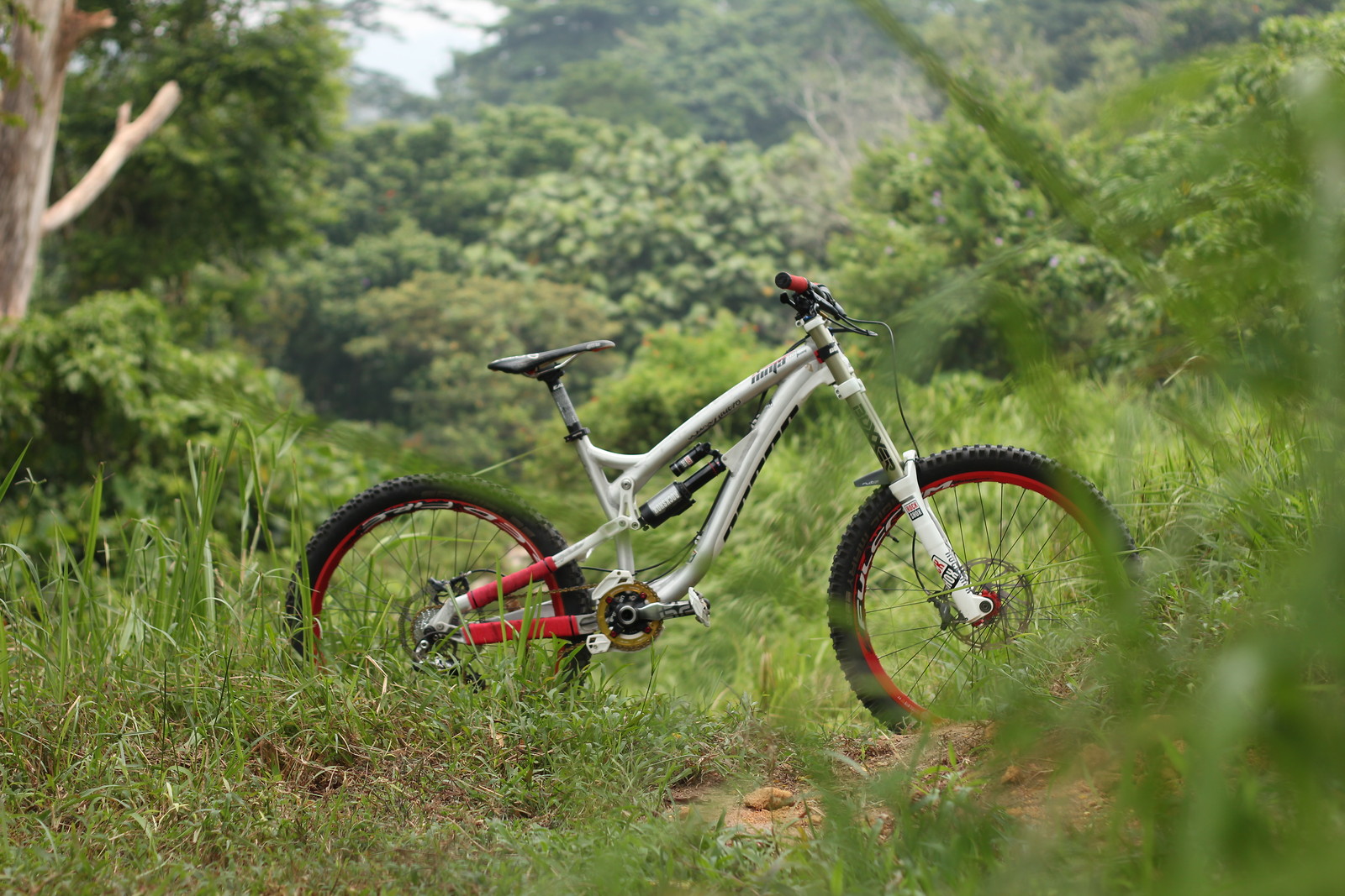 Agang Ninja DH Team 2014 Build - Chin Kang Jie's Bike Check - Vital MTB