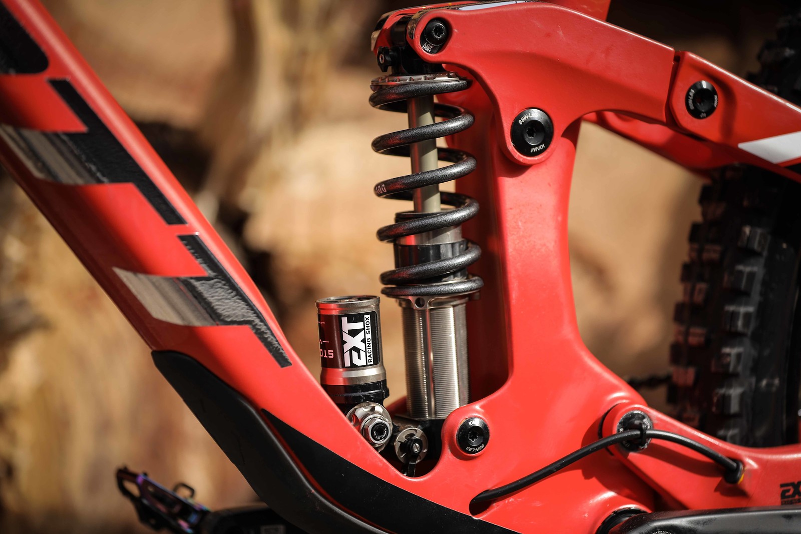 Scott Ransom Tuned 2020 - Borges Edition - JoaoMartins's Bike Check ...