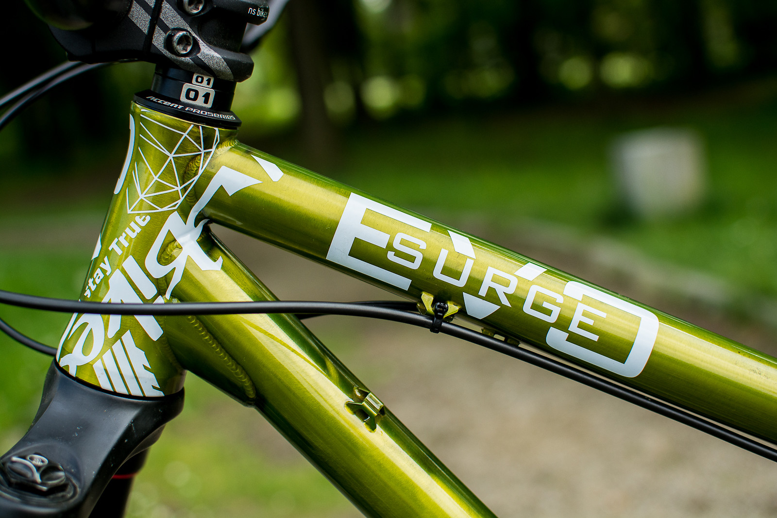 NS Bikes Surge EVO + Rock Shox Lyrik RCT3 - Banan's Bike Check - Vital MTB