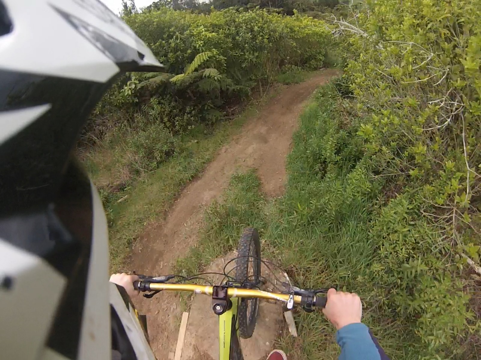 Drop off a tree stump - Ballz2023 - Mountain Biking Pictures - Vital MTB