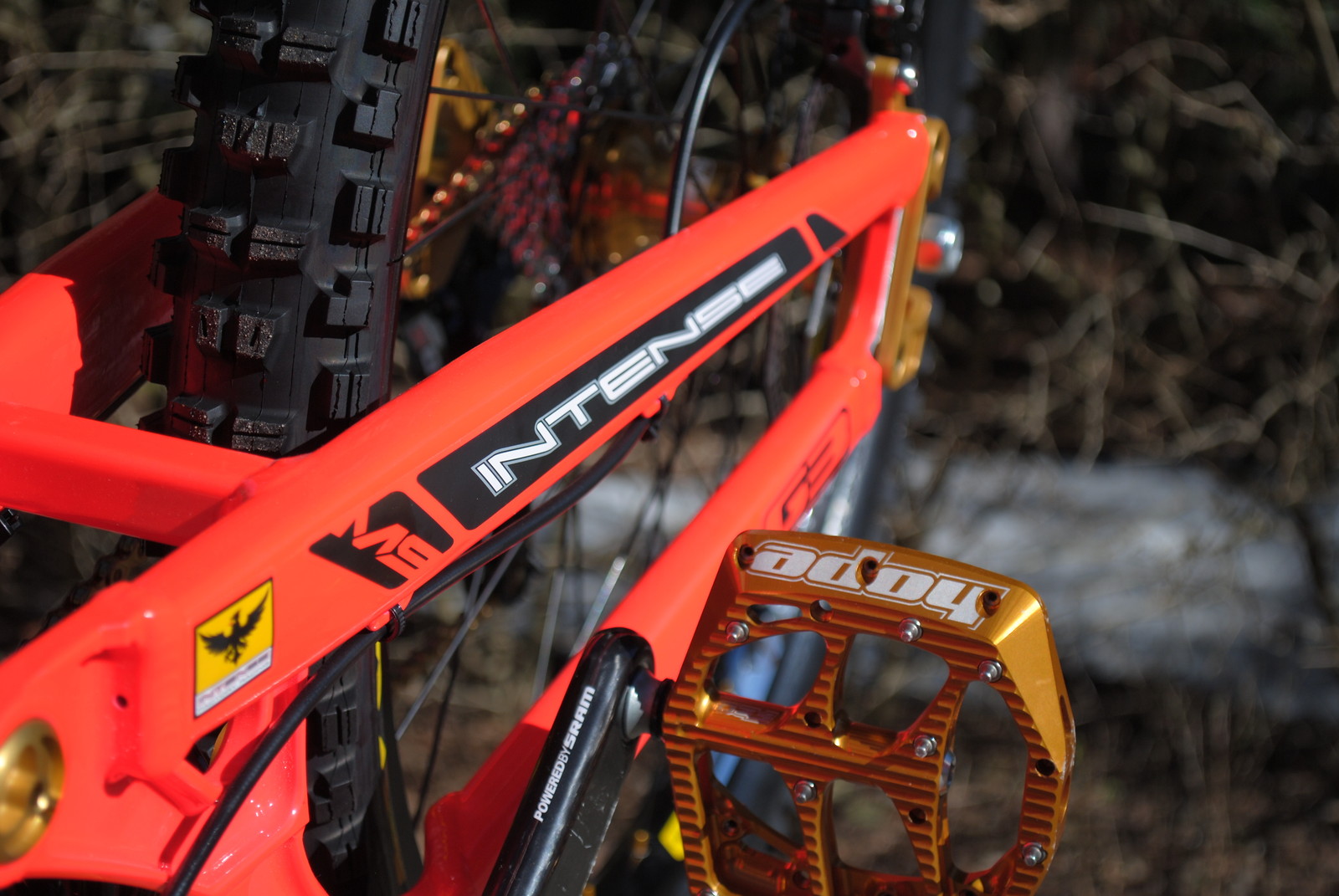 2013 Intense M9 - Democho's Bike Check - Vital MTB