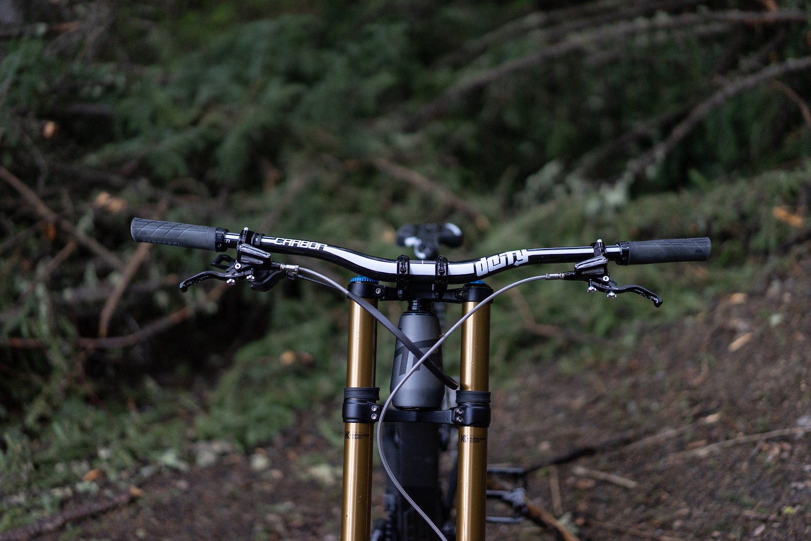 Transition Tr11 - Roots_rider's Bike Check - Vital MTB