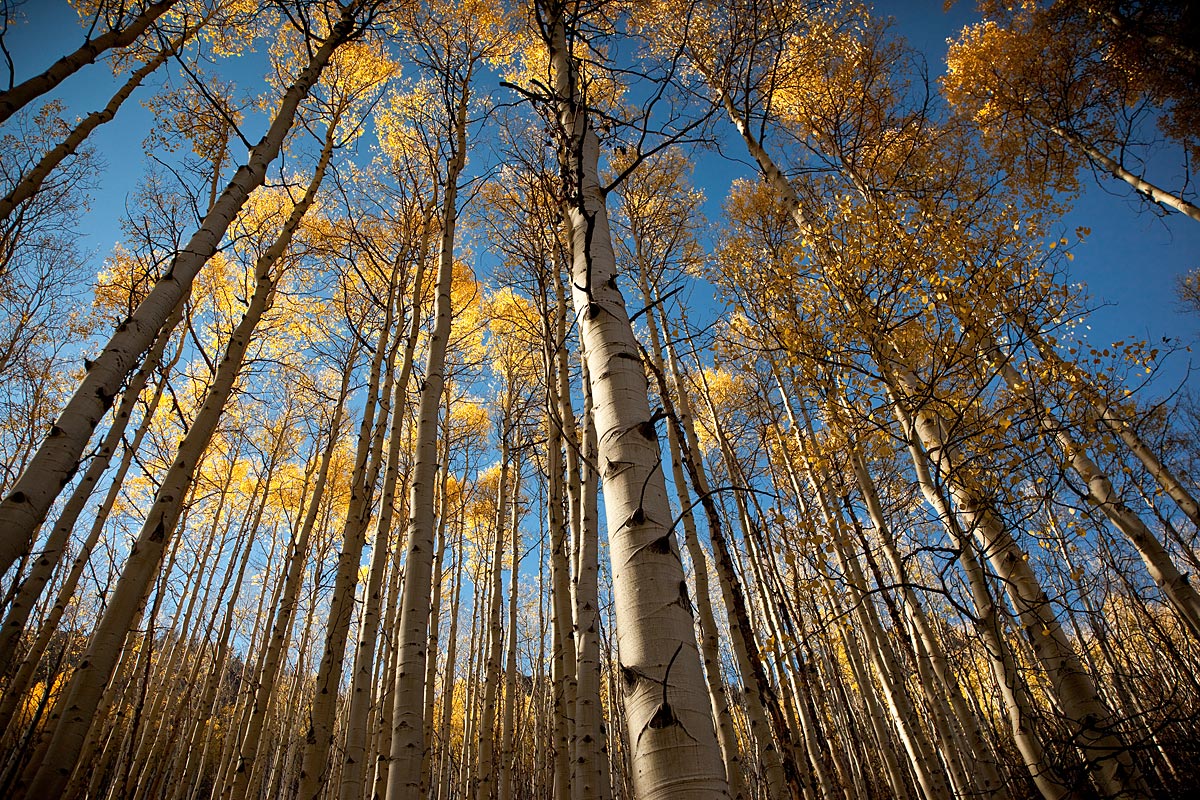 Colorado Fall To Spring - Yeti Cycles - Mountain Biking Pictures ...