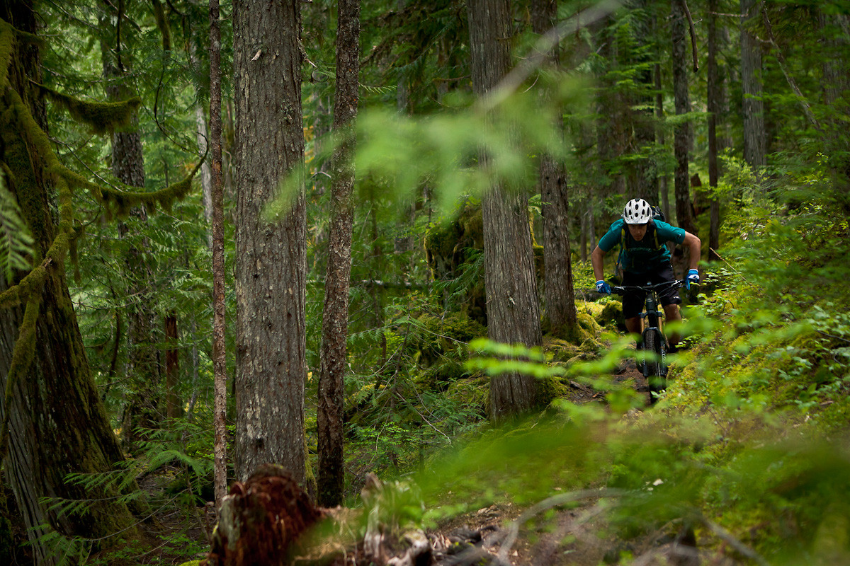 Pacific Northwest - Yeti Cycles - Mountain Biking Pictures - Vital MTB