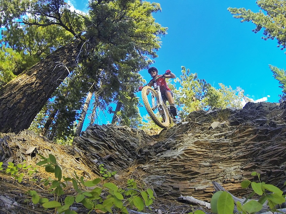 Backyard Trail - aaoliver - Mountain Biking Pictures - Vital MTB