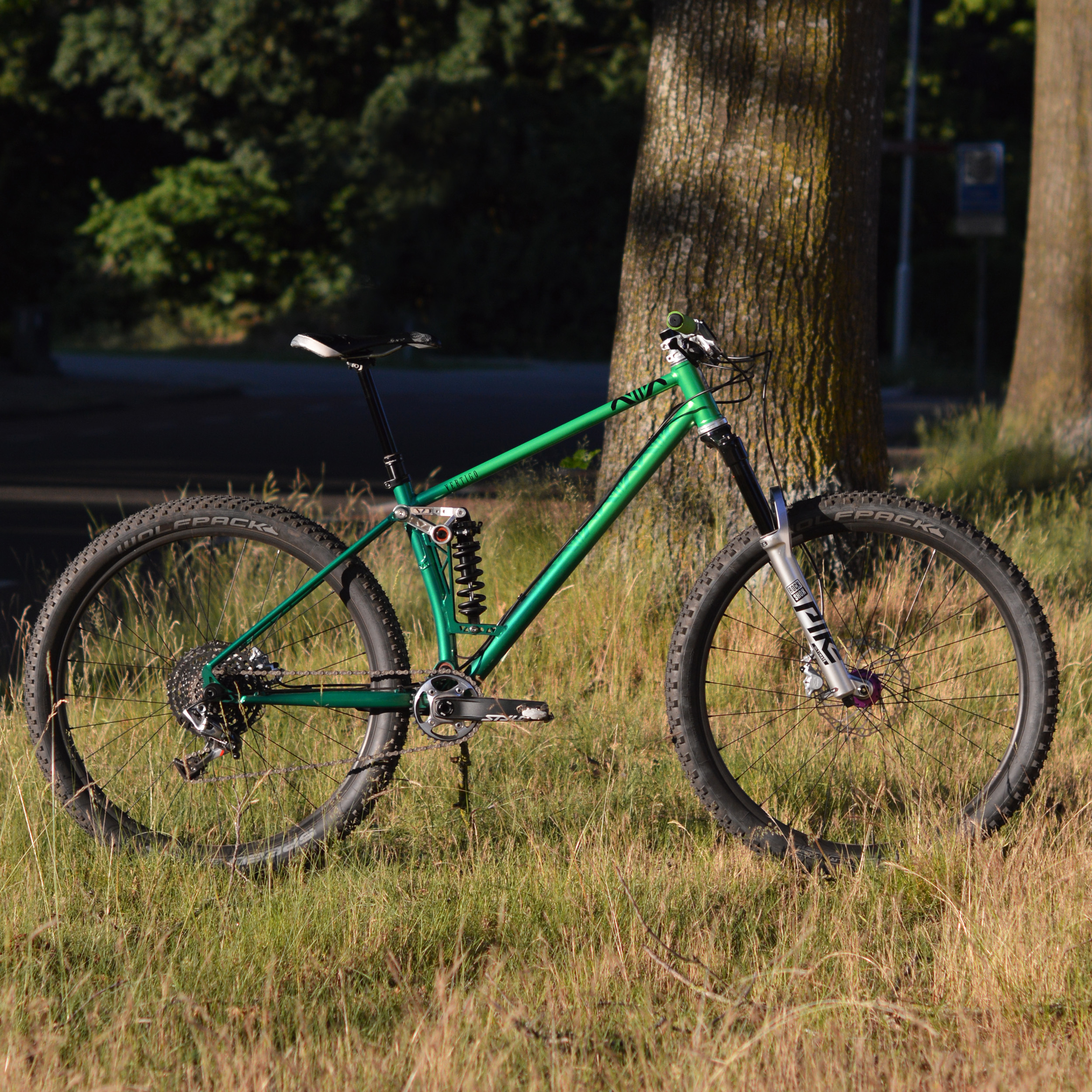 project12 - Vertigo - suravida's Bike Check - Vital MTB