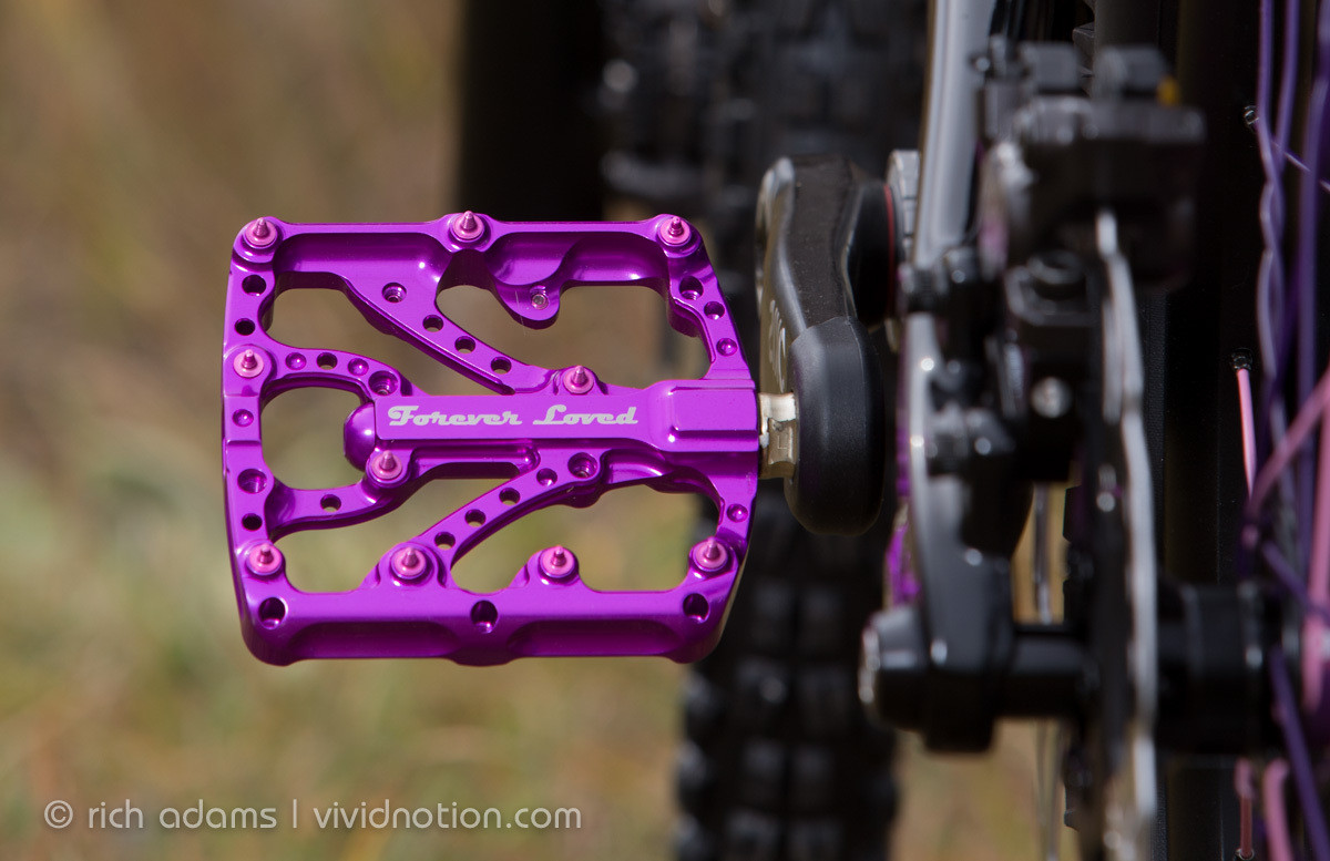 Full Custom Santa Cruz V10 - The Ring - The Garage's Bike Check - Vital MTB