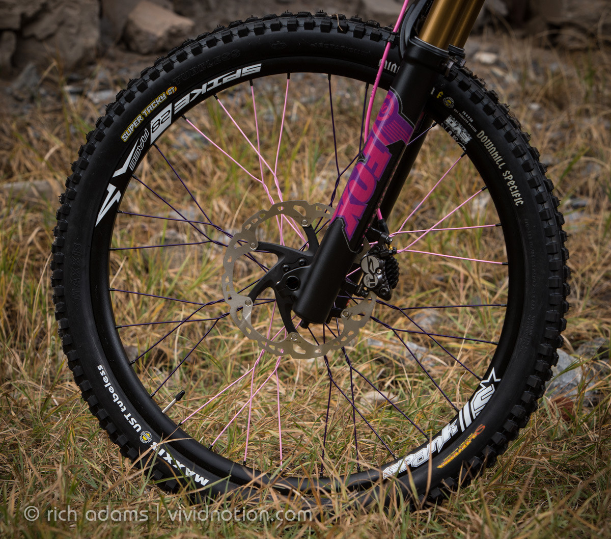 Full Custom Santa Cruz V10 - The Ring - The Garage's Bike Check - Vital MTB