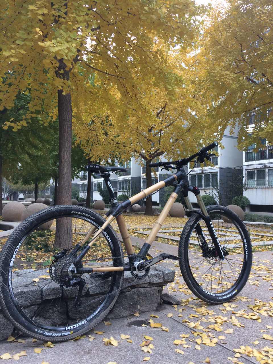 Custom Bamboo AM Hardtail - C1audio's Bike Check - Vital MTB