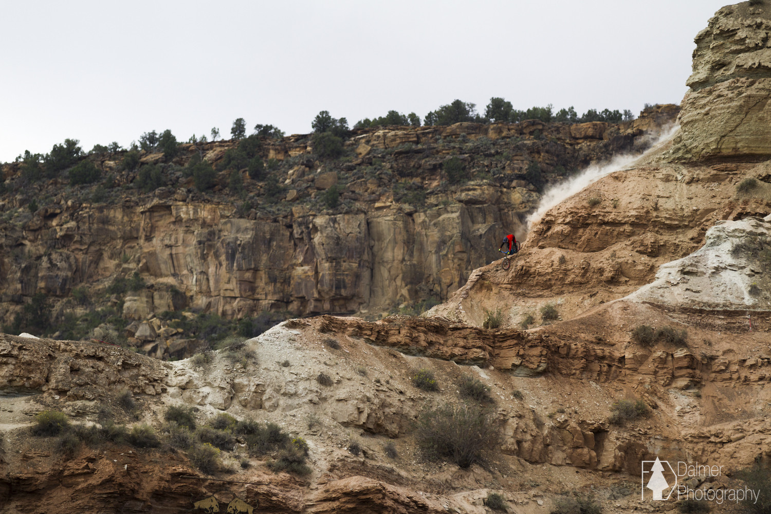 Paul Basagoitia - forrestdalmer - Mountain Biking Pictures - Vital MTB