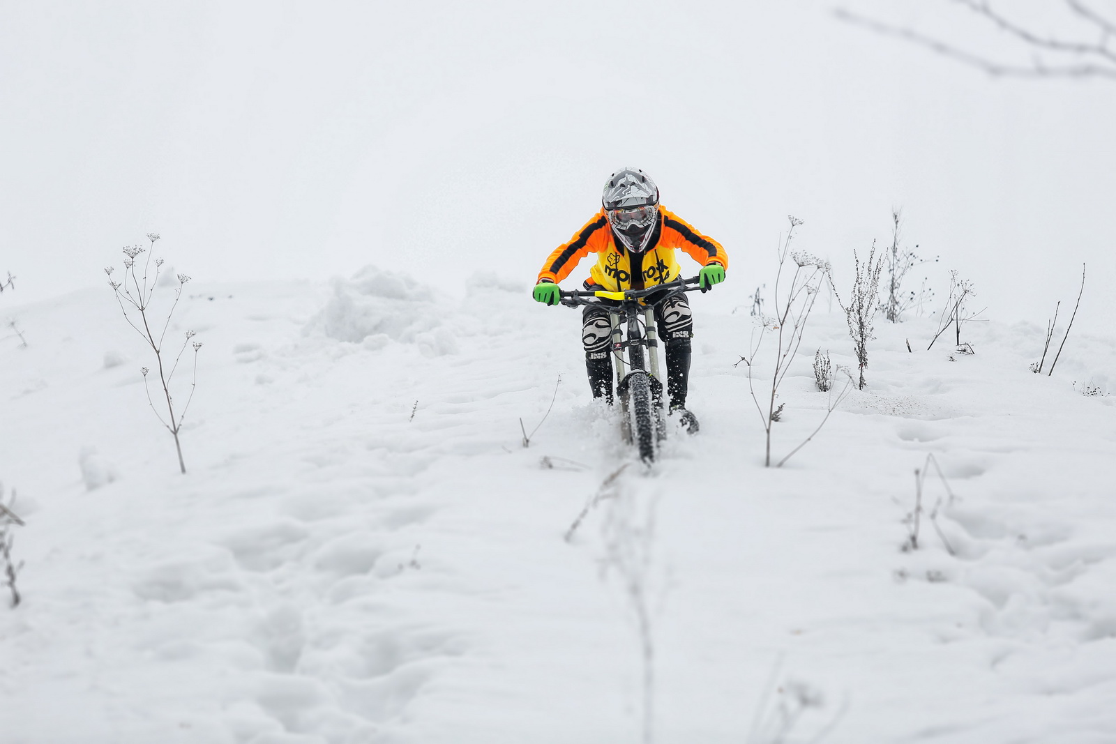 freeriding - YakuT - Mountain Biking Pictures - Vital MTB
