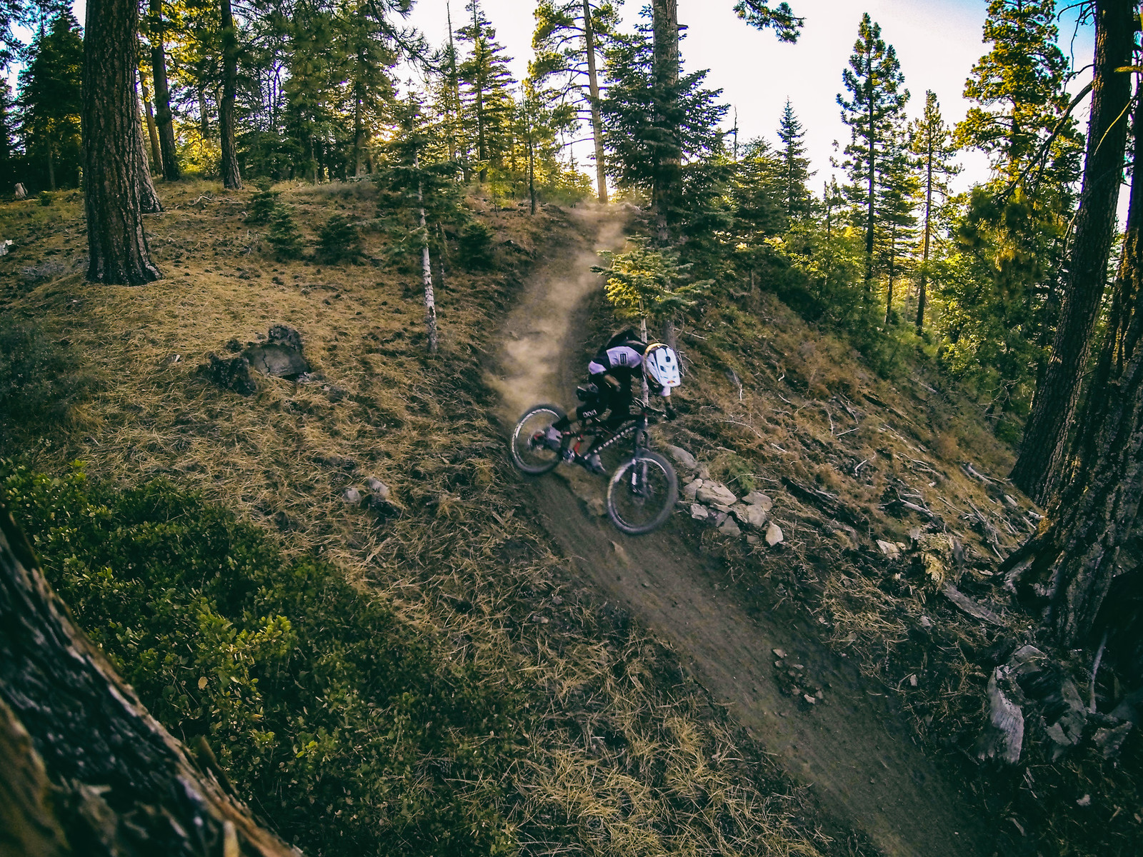 Birds Eye View - rewob - Mountain Biking Pictures - Vital MTB