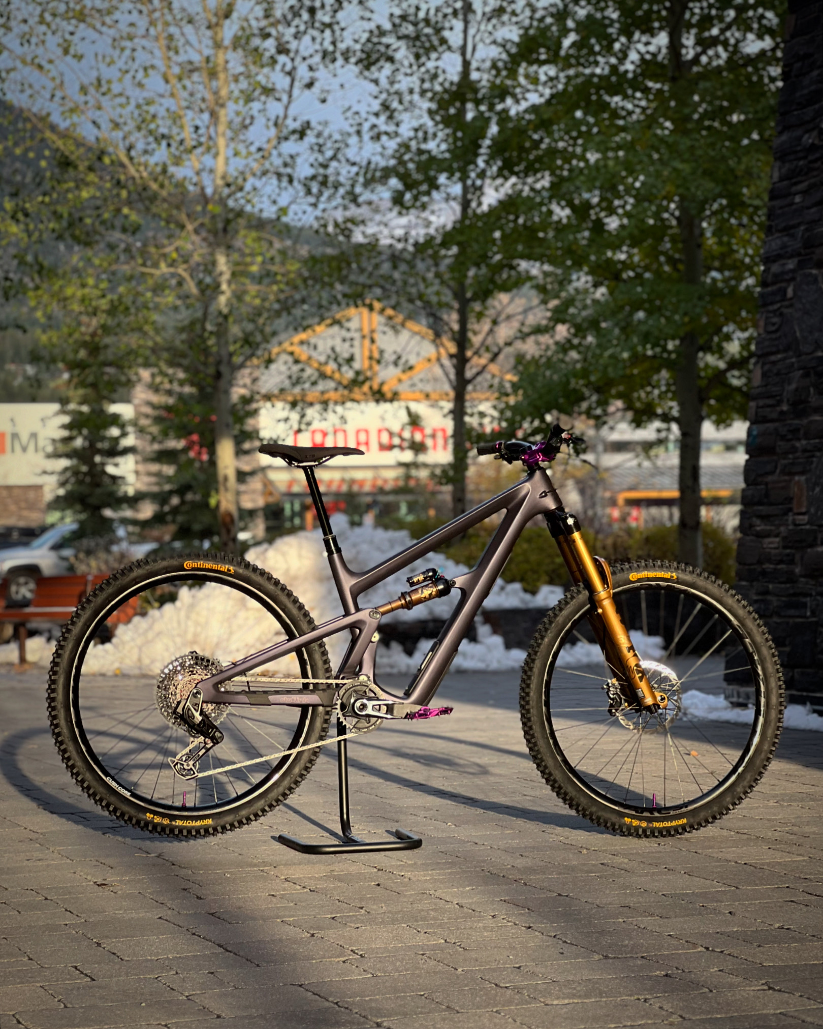 Ibis Ripmo V3 custom - Radbike's Bike Check - Vital MTB
