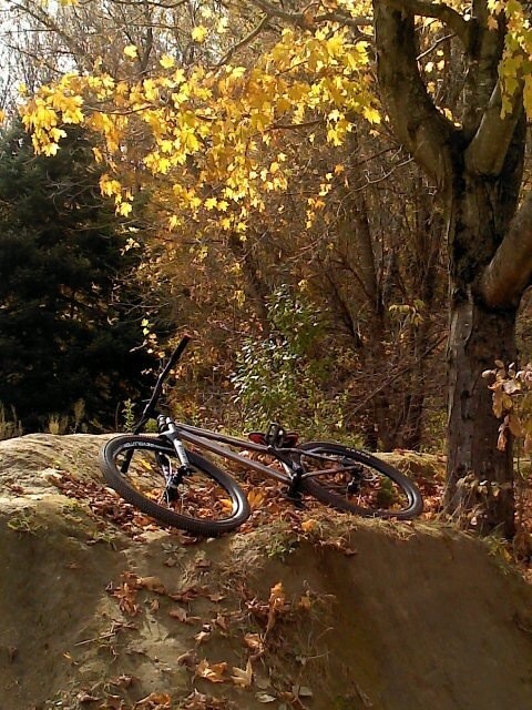 Black Market Edit 1 - shanebski's Bike Check - Vital MTB