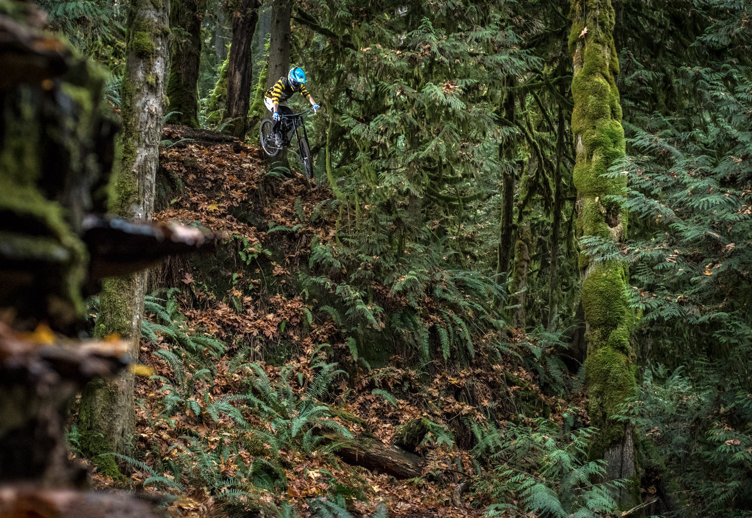 Craig Folsom sending the biggest drop around - harvey - Mountain Biking ...
