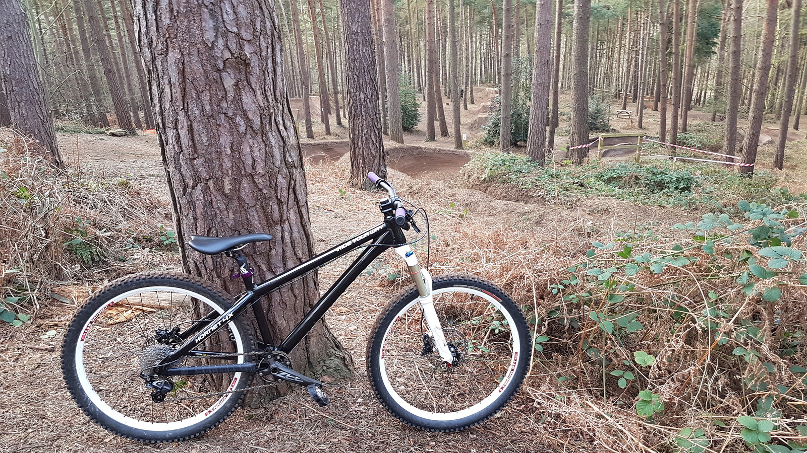 Dartmoor Hornet 4x - theraggyone's Bike Check - Vital MTB