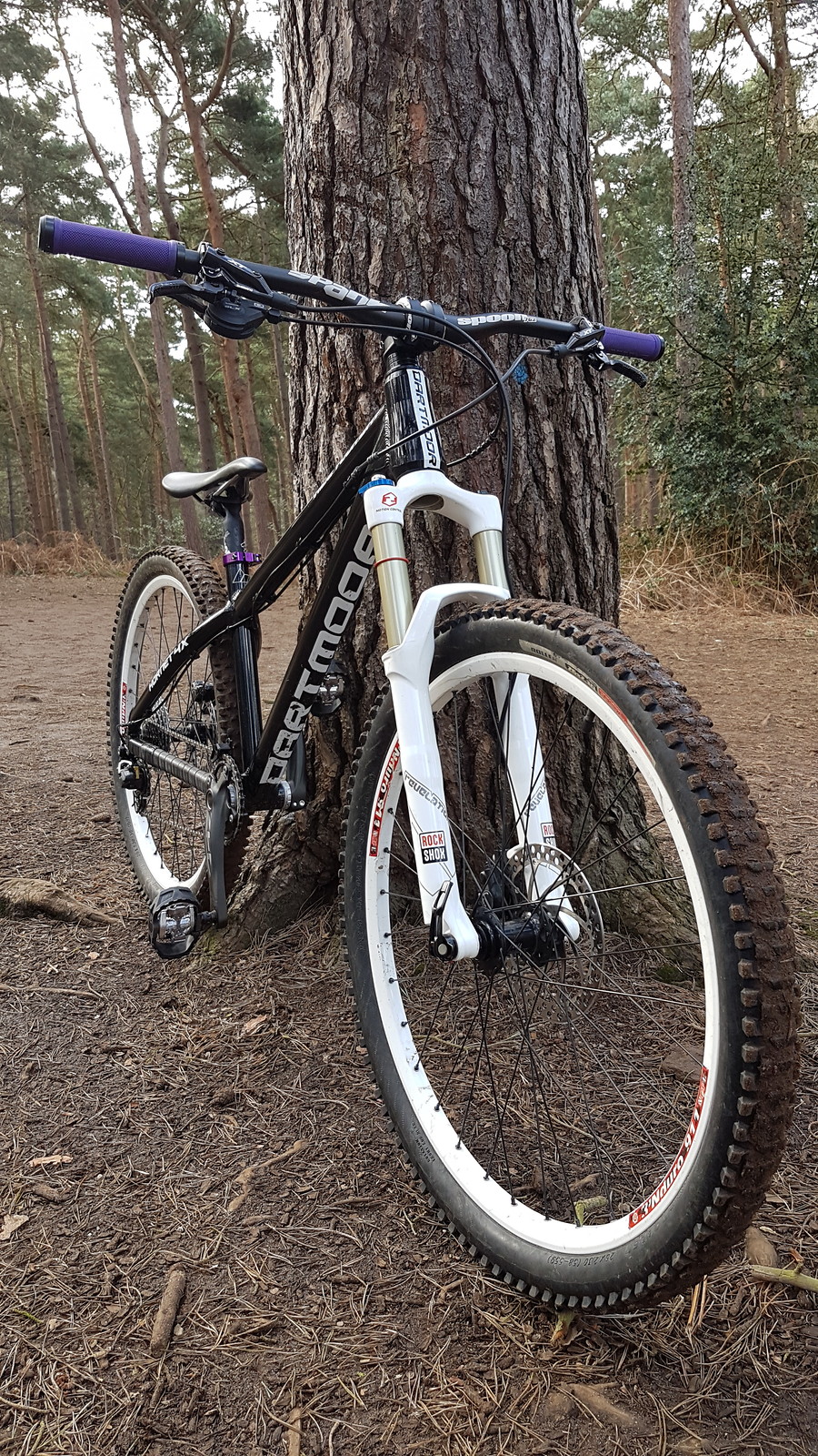 Dartmoor Hornet 4x - theraggyone's Bike Check - Vital MTB