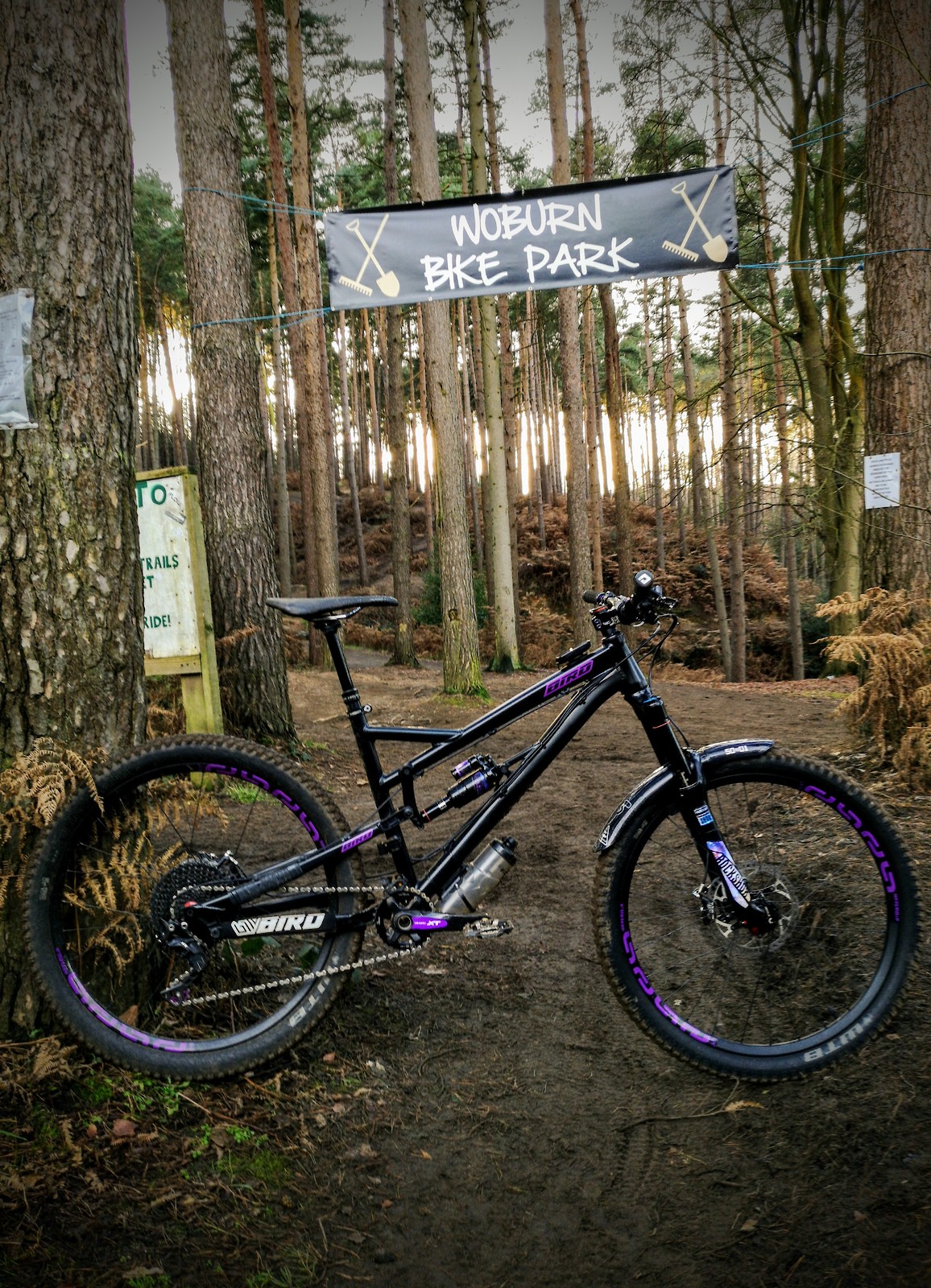 Bird cycleworks Aeris Mk1.5 - theraggyone's Bike Check - Vital MTB