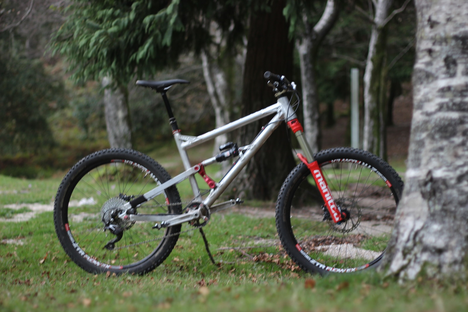 NICOLAI ION 16 - David9180's Bike Check - Vital MTB