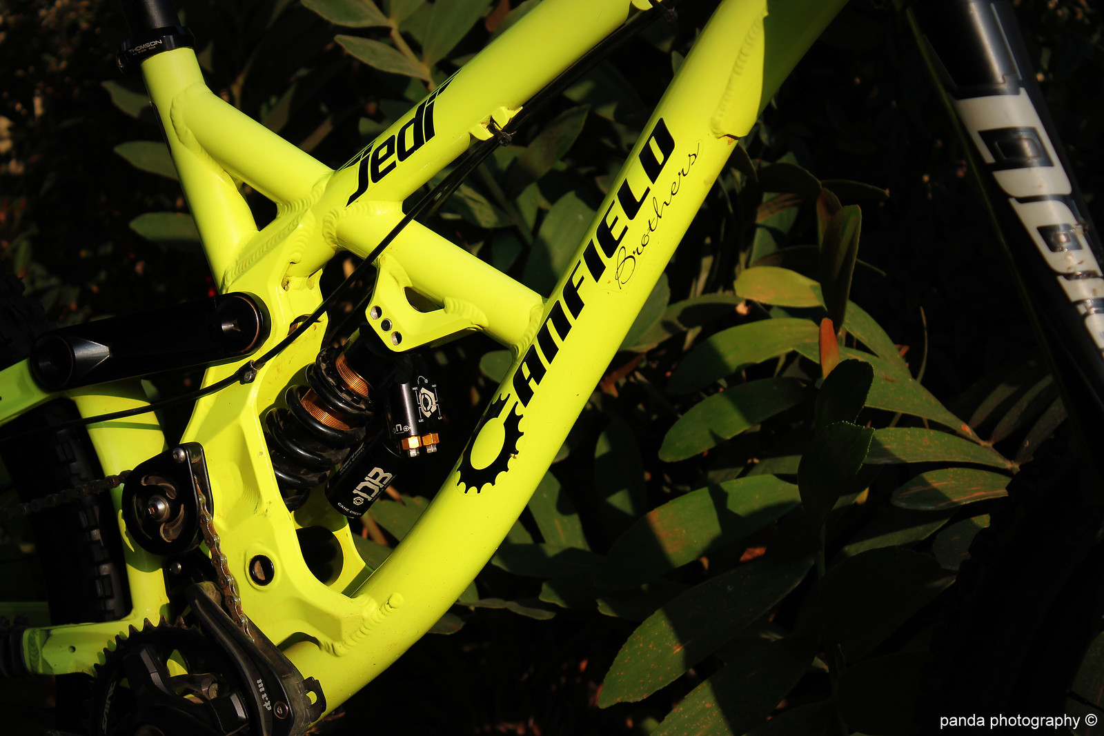 Canfield Bro - Jedi Flo Yellow - altman's Bike Check - Vital MTB