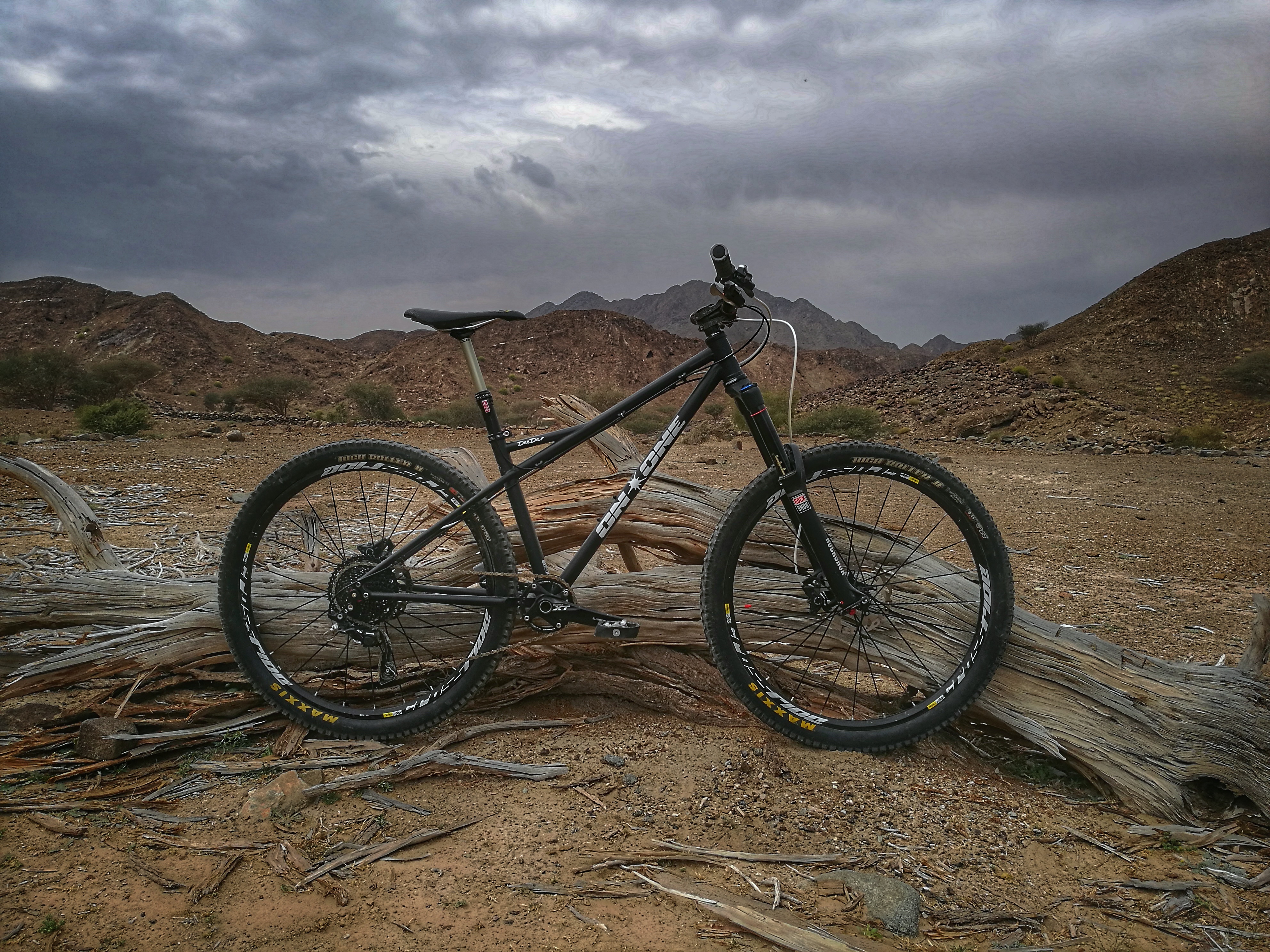OnOne Deedar - spoonmarvs's Bike Check - Vital MTB