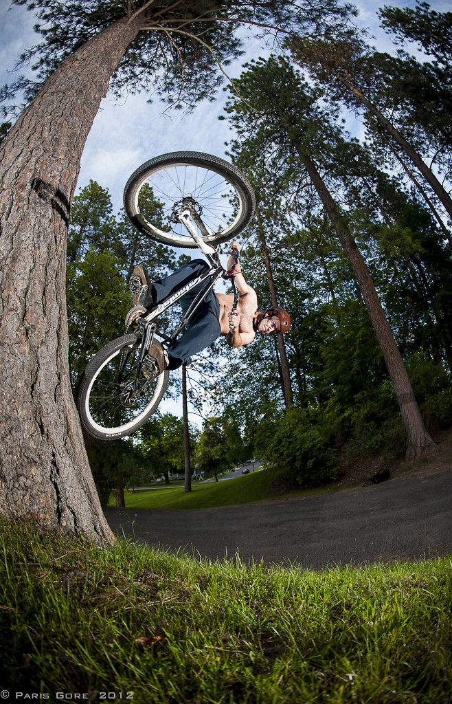 Tree Tap - pgore - Mountain Biking Pictures - Vital MTB