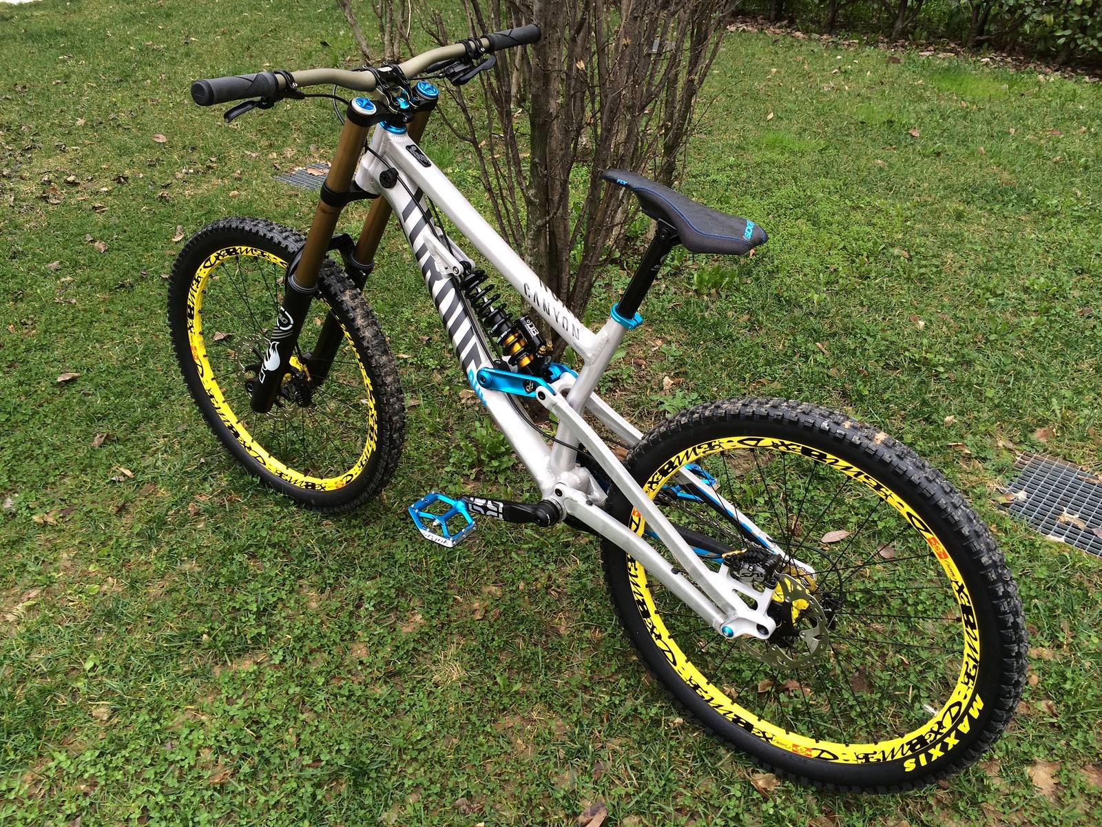 Canyon Torque DHX Flashzone - Delca - Mountain Biking Pictures - Vital MTB