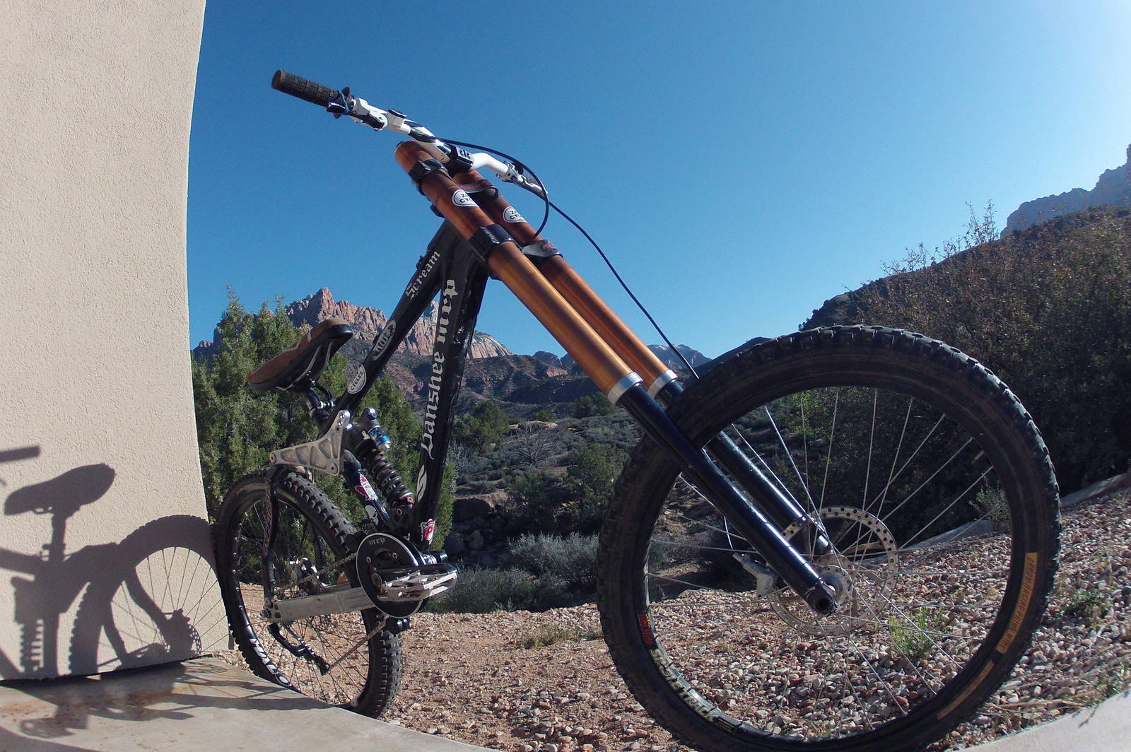Kickstands Banshee Scream - Kicklion's Bike Check - Vital MTB