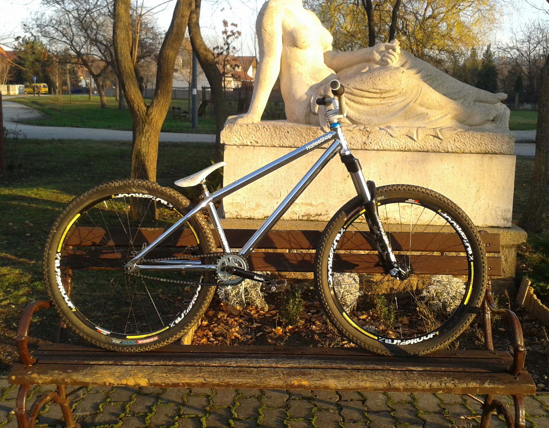 Chrome Beuty - TrtPatrik's Bike Check - Vital MTB