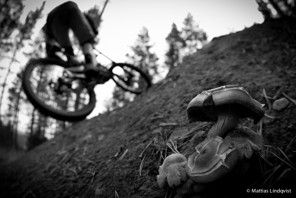 Niklas Wallner - Mattias.L - Mountain Biking Pictures - Vital MTB