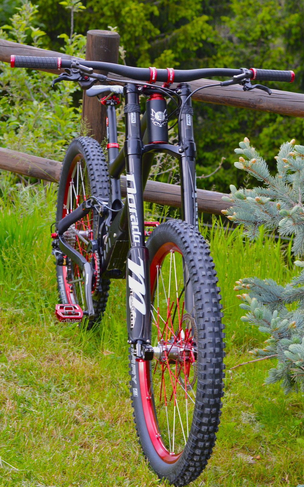 Banshee Legend Custom - Fra88's Bike Check - Vital MTB