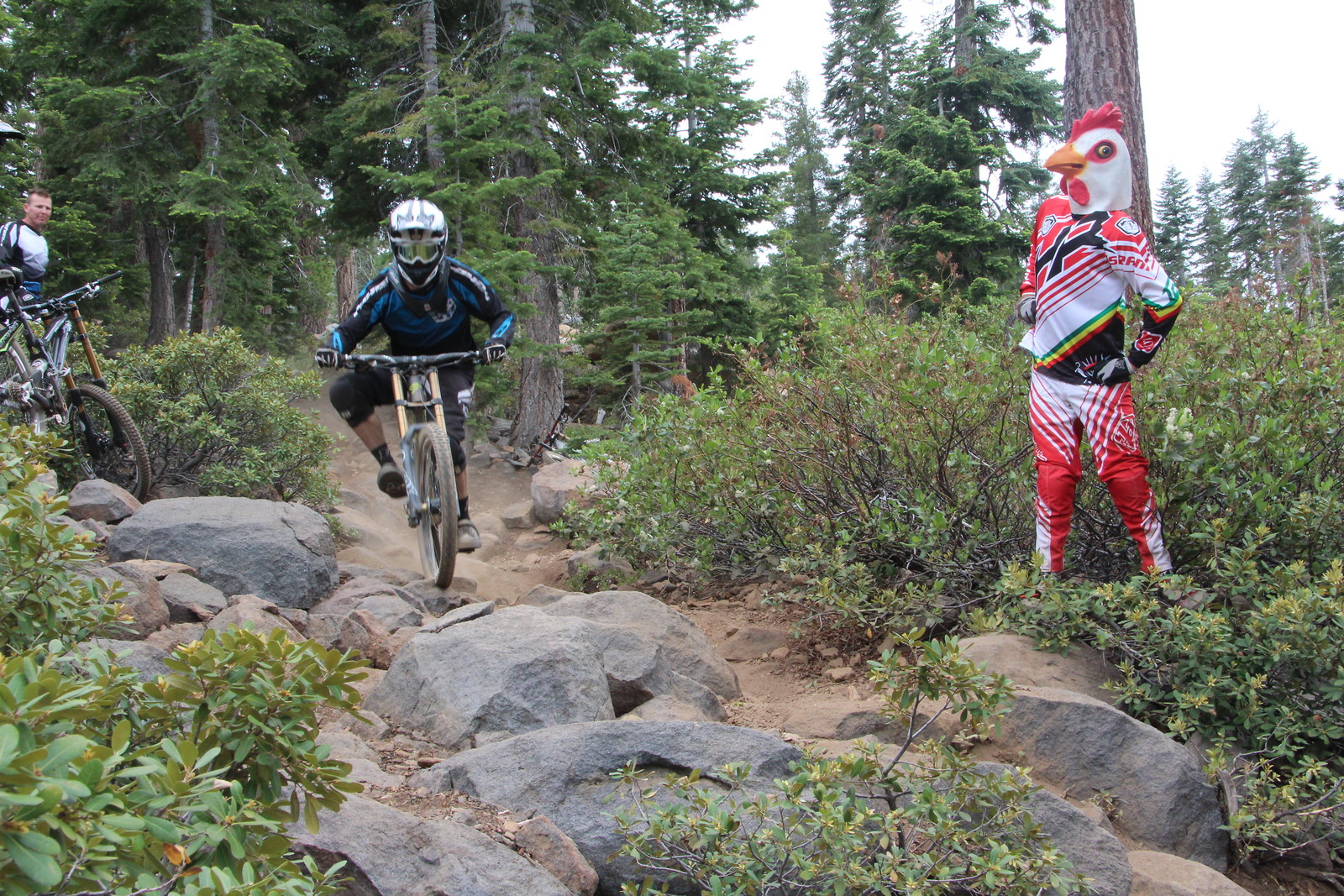 A Wild Chicken Has Appeared - TrailHeadRacing - Mountain Biking ...