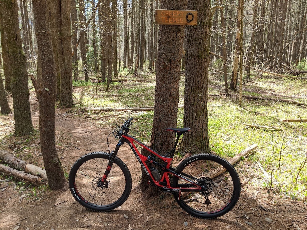 Roy's 2020 Intense Primer 29 - Roy's Bike Check - Vital MTB