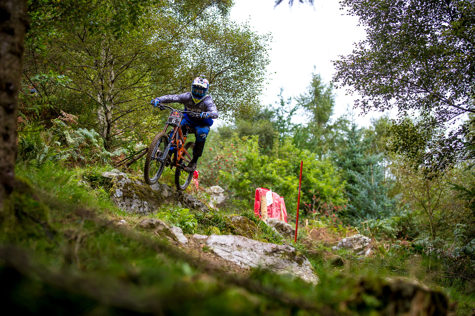 RedBull Hardline 2016-18 - louisarnold - Mountain Biking Pictures ...