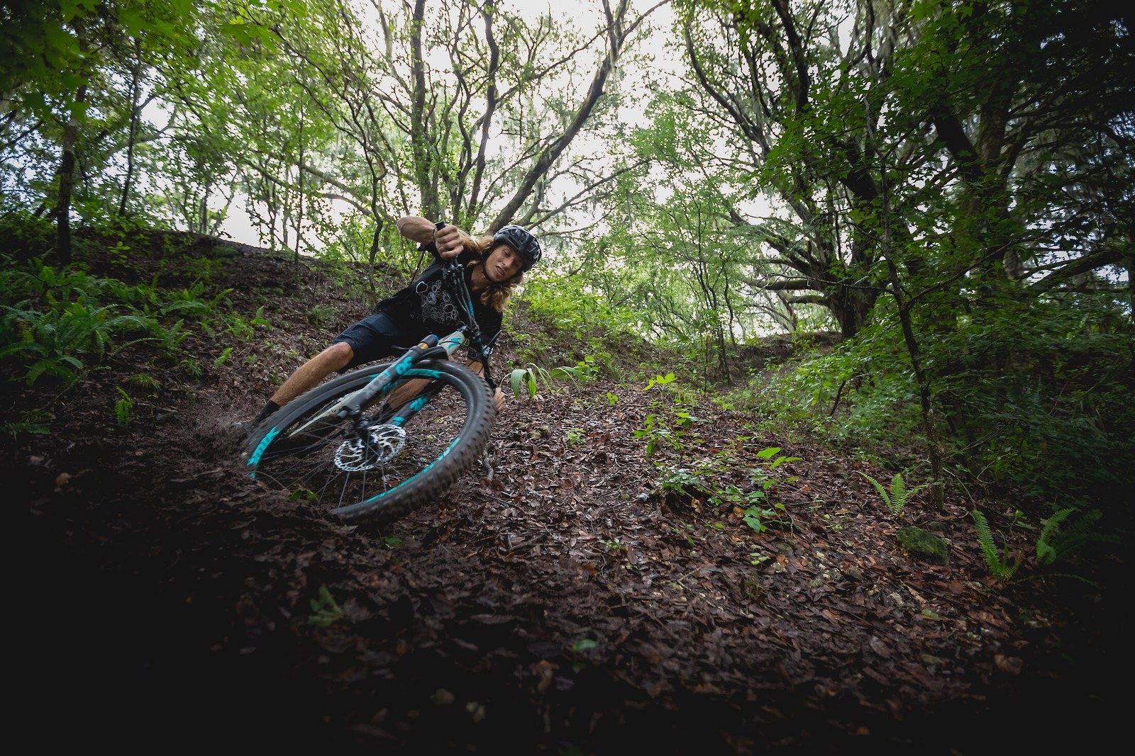 Loamy Ruts 2 - mtbryan - Mountain Biking Pictures - Vital MTB