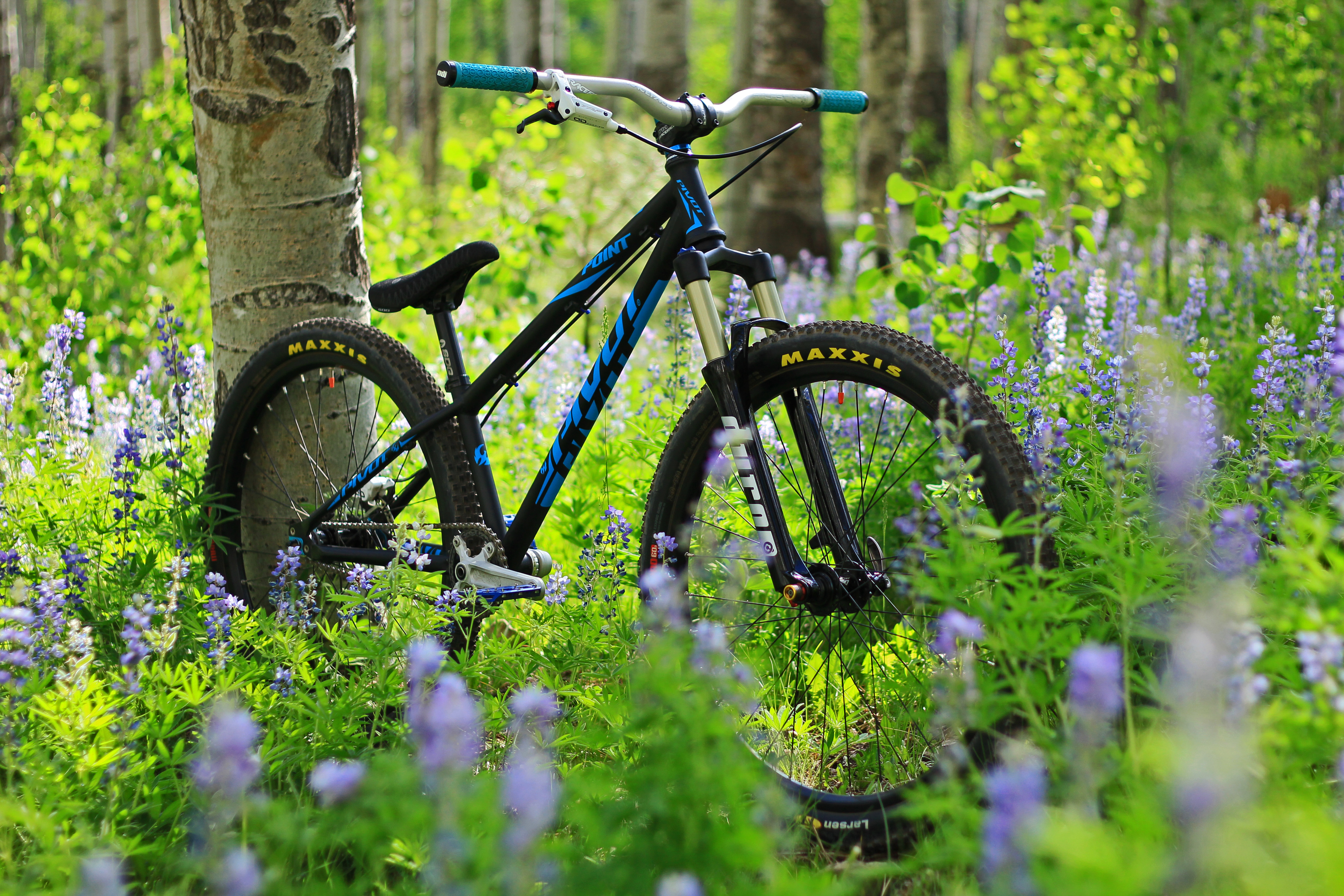 PROJEKT ROAM: Pivot Point - projekt roam's Bike Check - Vital MTB