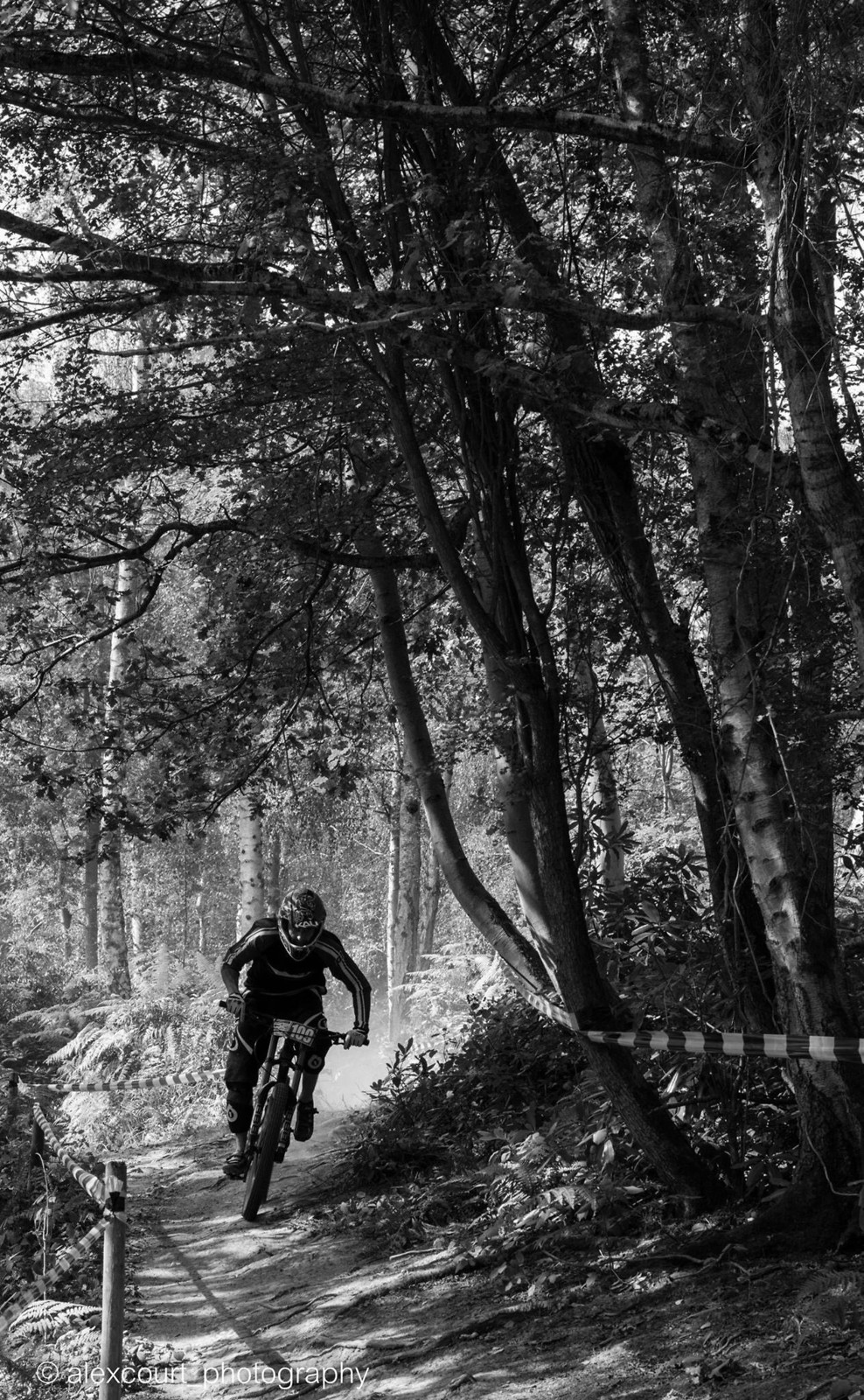 Through The Trees - AC_P - Mountain Biking Pictures - Vital MTB