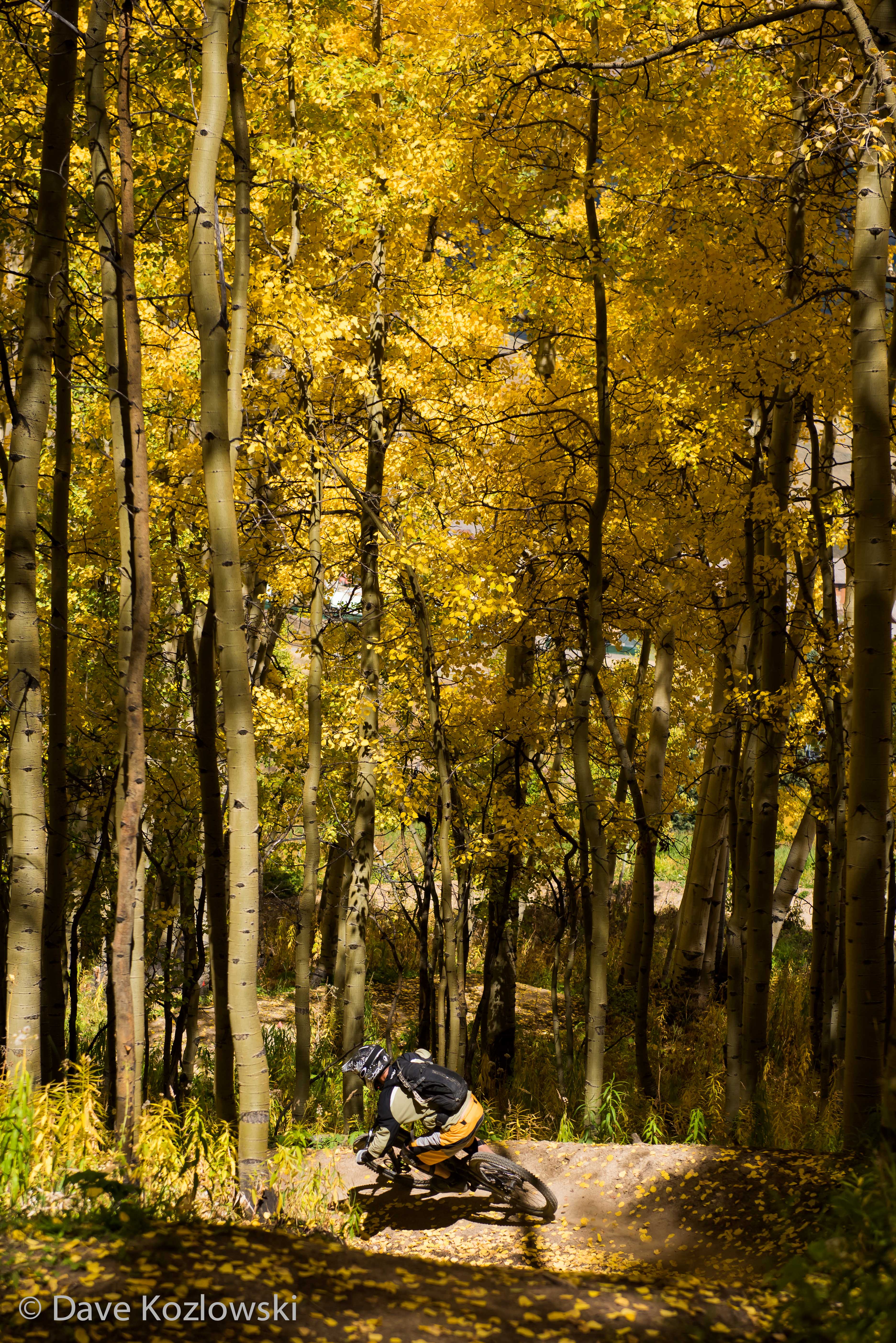 berming - kozski - Mountain Biking Pictures - Vital MTB