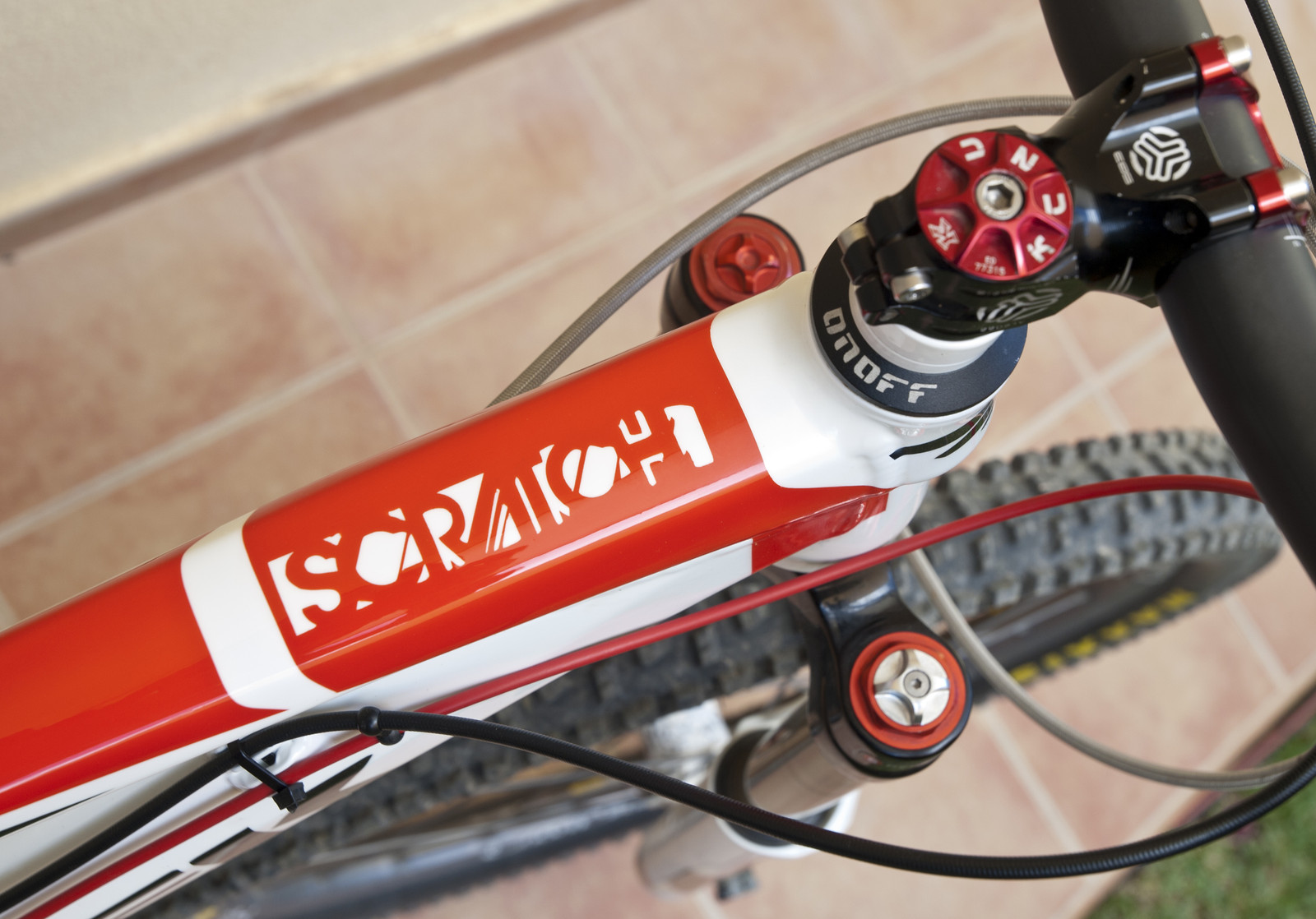 Trek Scratch Custom - Juanvi Muñoz's Bike Check - Vital MTB