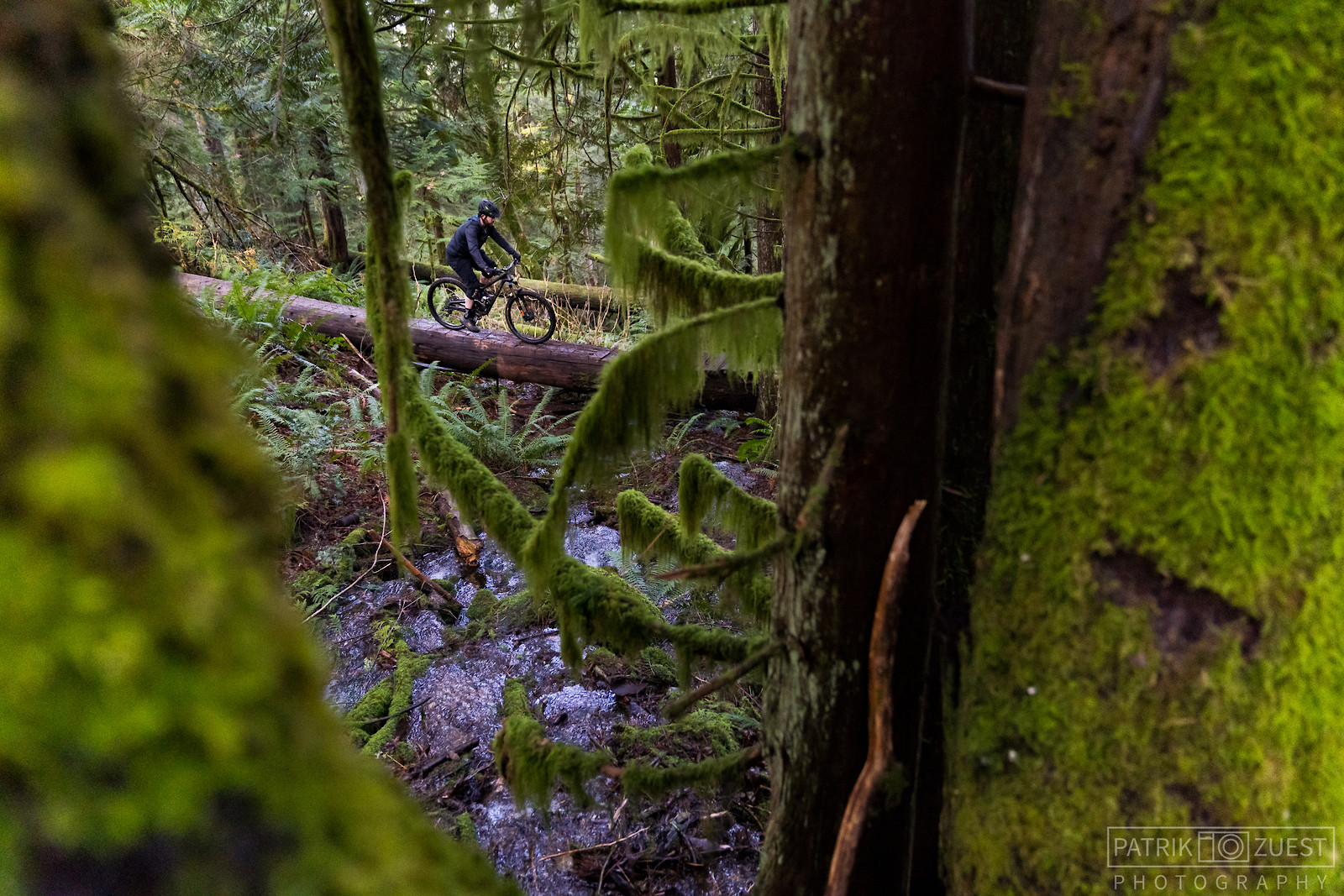 Ray-27-Zuest-8 - Zuestman - Mountain Biking Pictures - Vital MTB